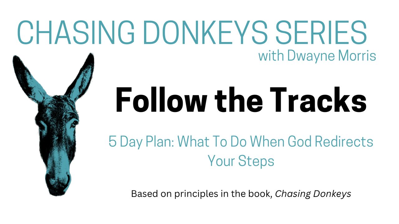 Chasing Donkeys Series: Follow the Tracks