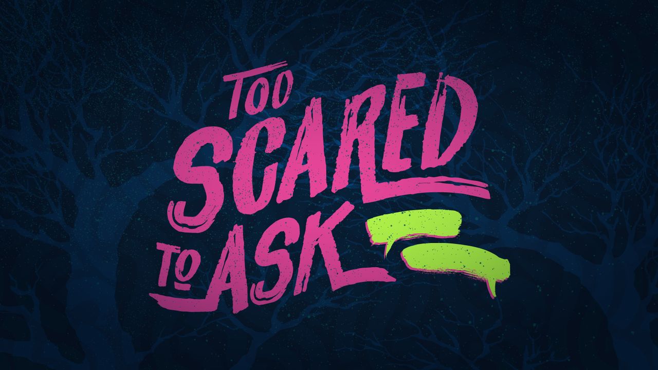 Too Scared to Ask - Real Questions & Real Answer - Day 1 of 15
