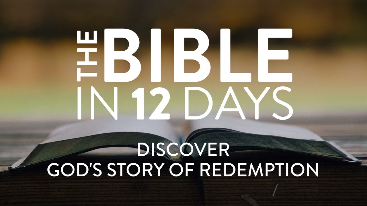 The Bible in 12 Days : Discover God’s Story of Redemption