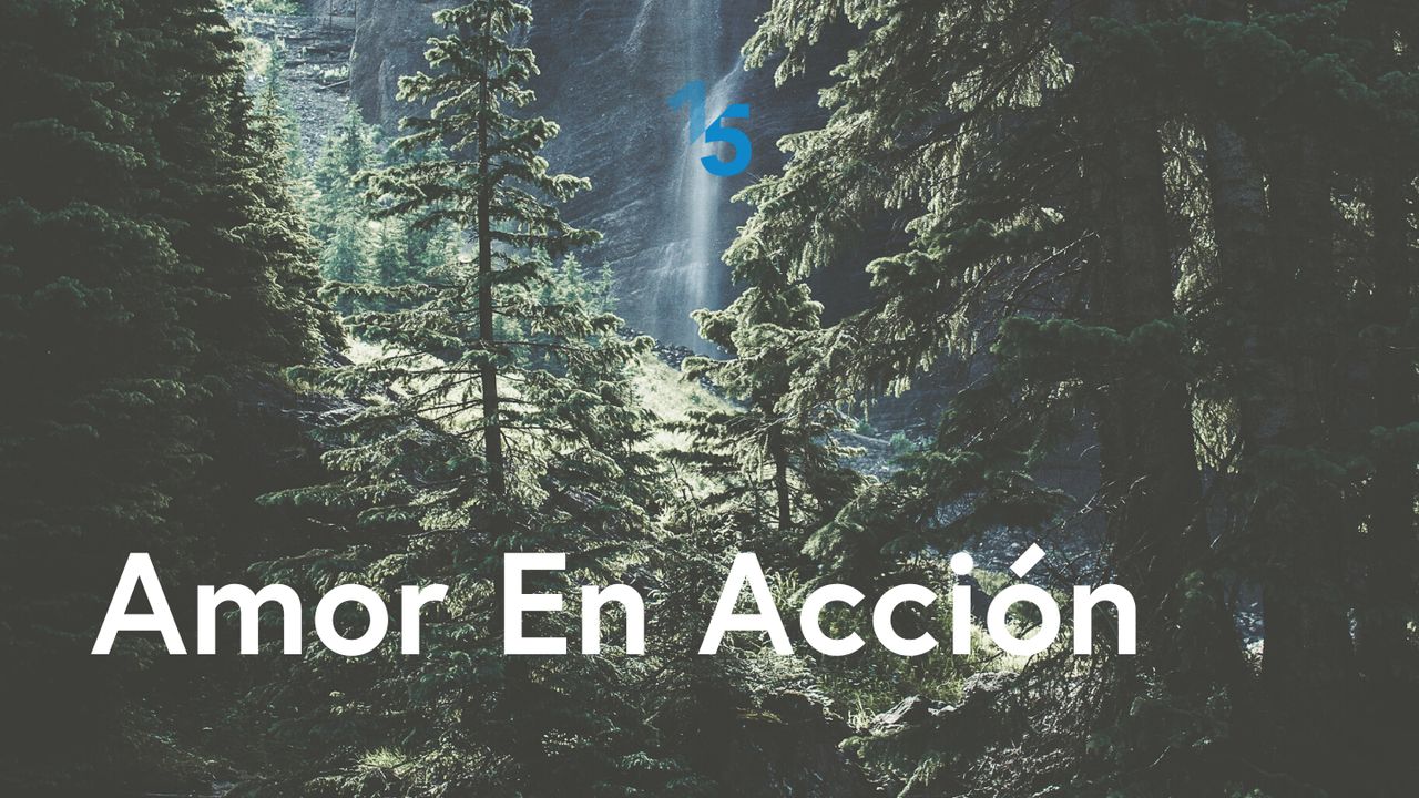 Amor En Acción