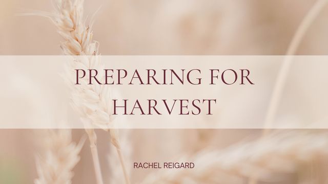 Preparing for Harvest | Devotional Reading Plan | YouVersion Bible