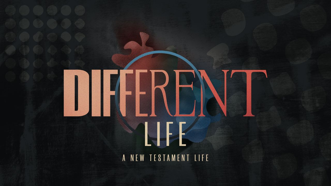 Different Life: A New Testament Life