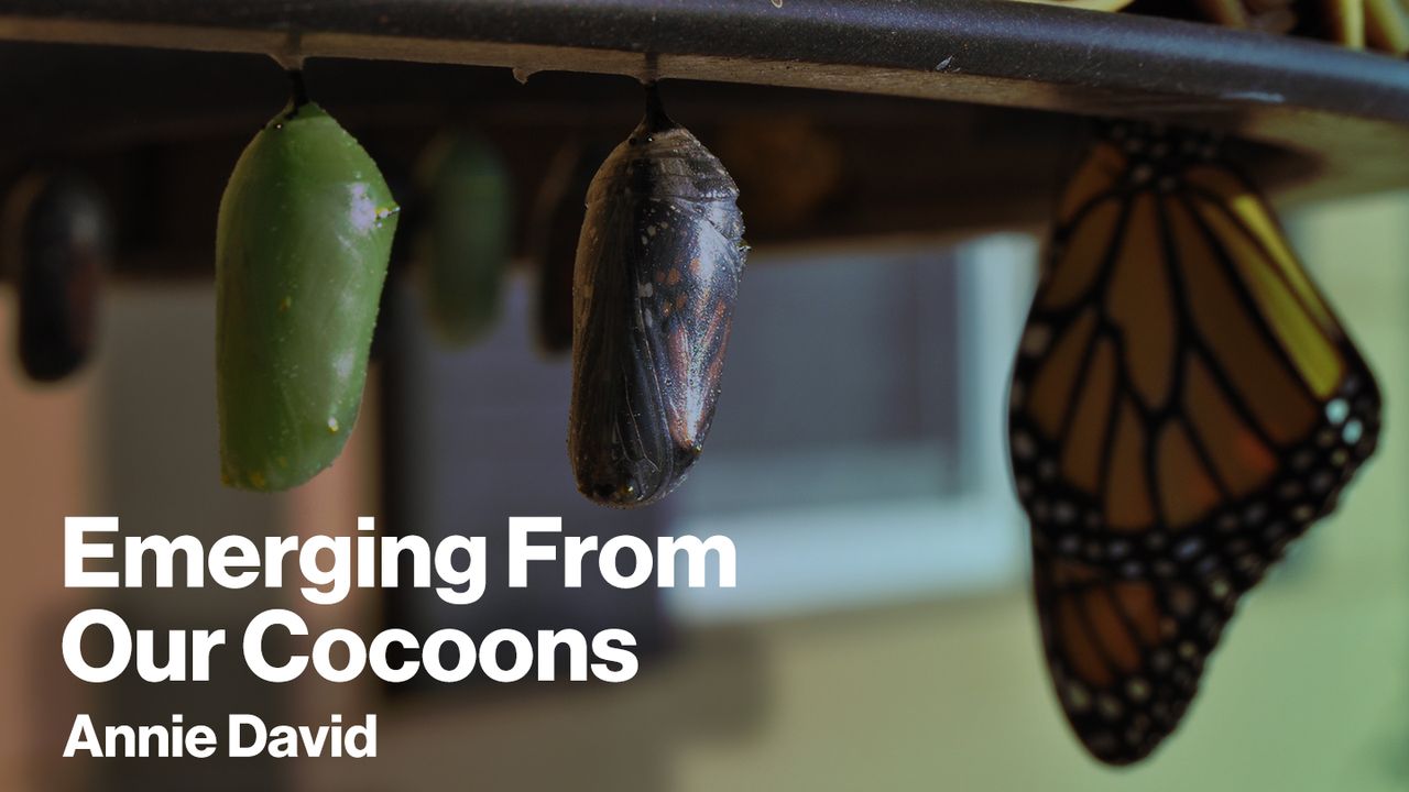 Emerging From Our Cocoons - New Year and Beginnings - Day 2 of 3