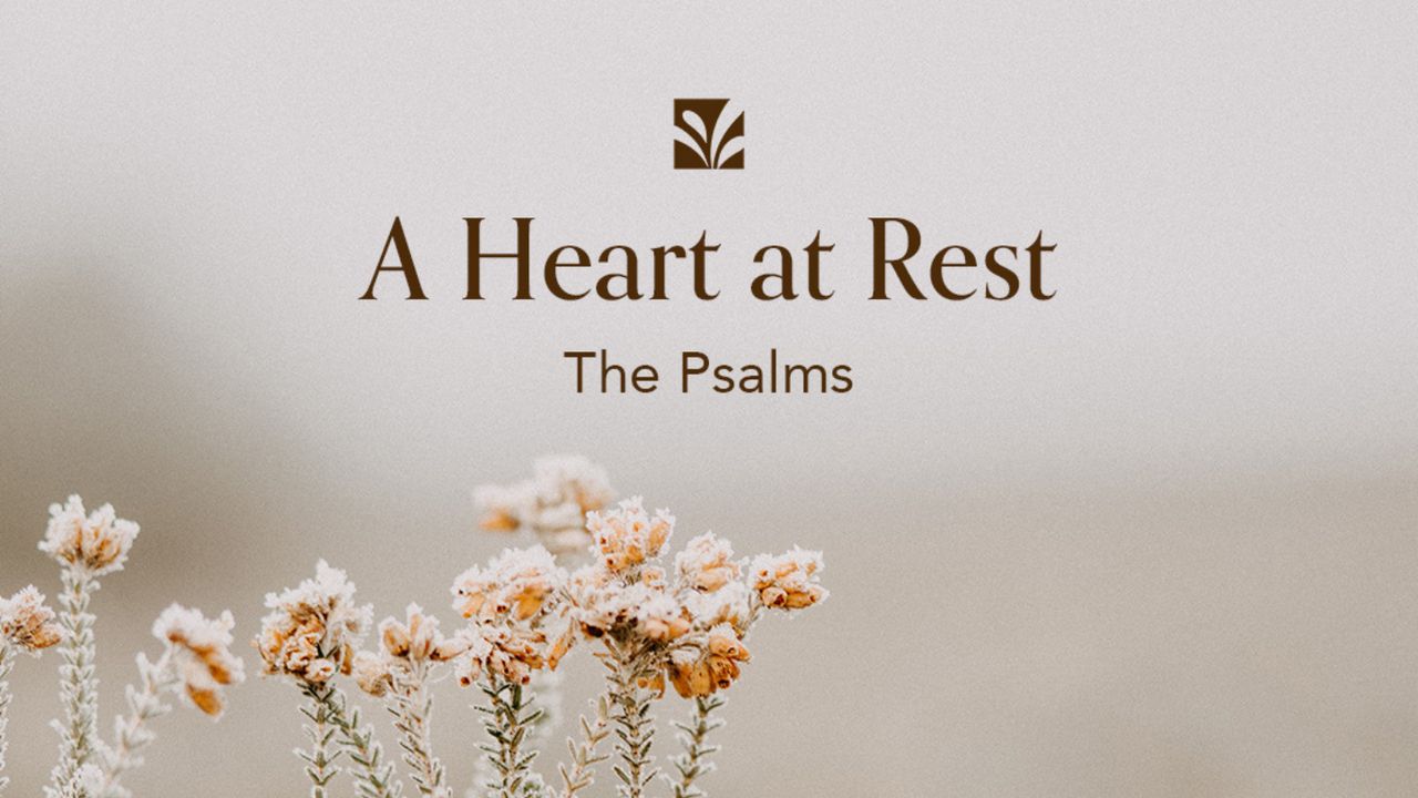 A Heart at Rest - Day 1 of 9