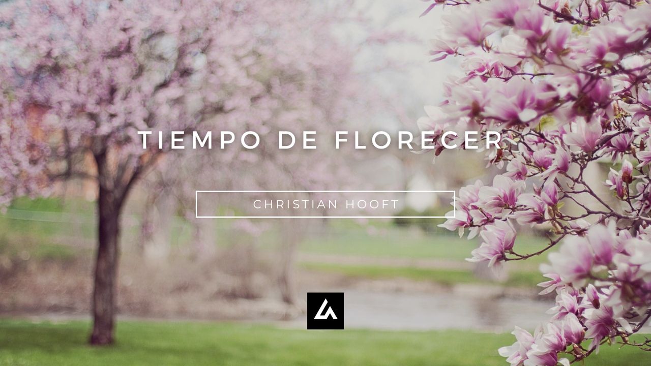 Tiempo De Florecer