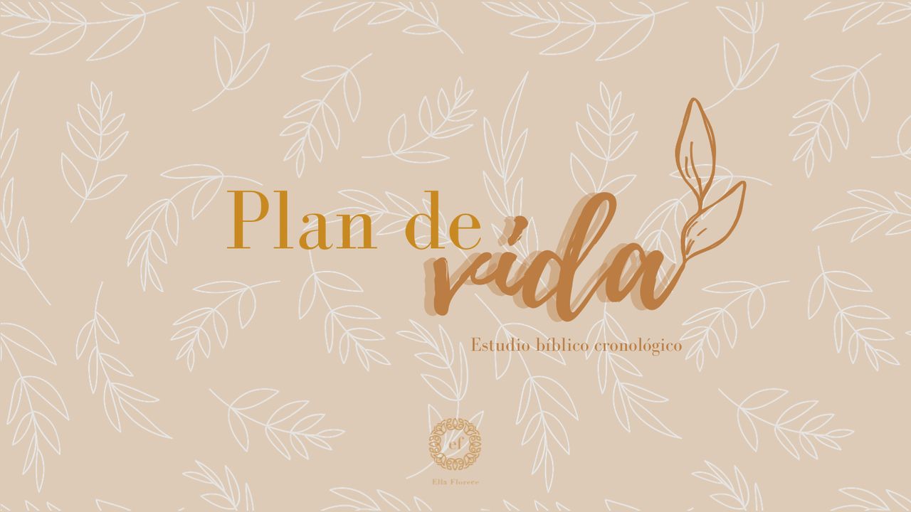 Plan de Vida