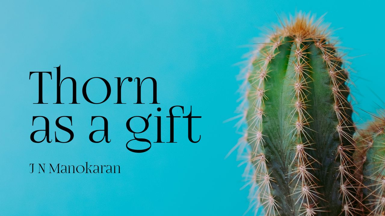 Thorn as a Gift