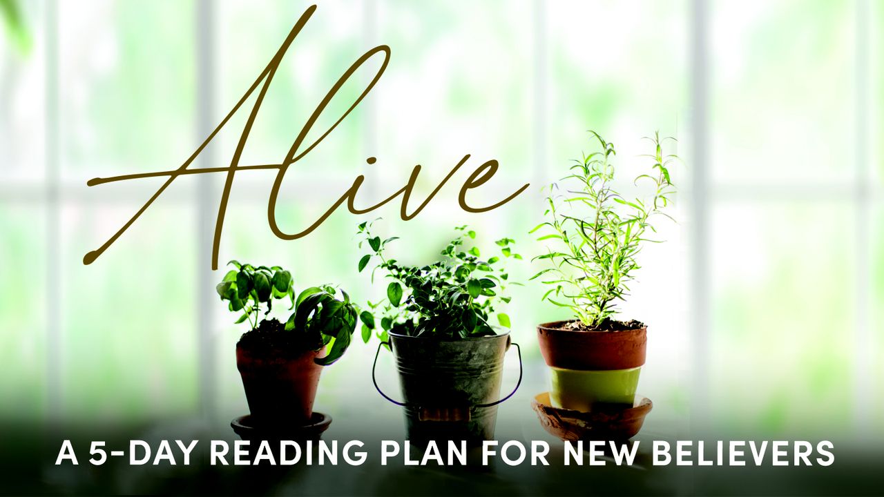 Alive: Grow in Your Relationship With Jesus