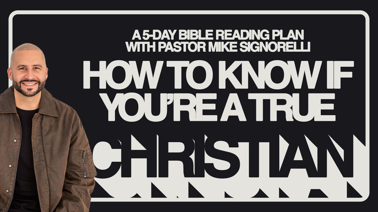 How to Know if You Are a True Christian