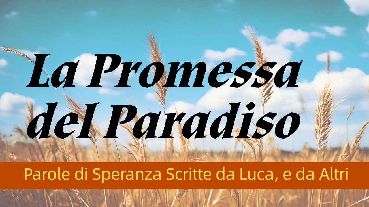 La Promessa del Paradiso