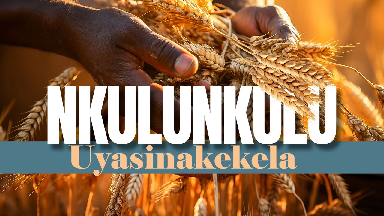 Nkulunkulu Uyasinakekela