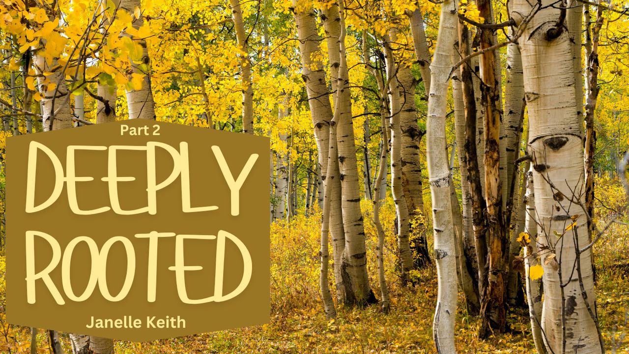 Deeply Rooted Part 2