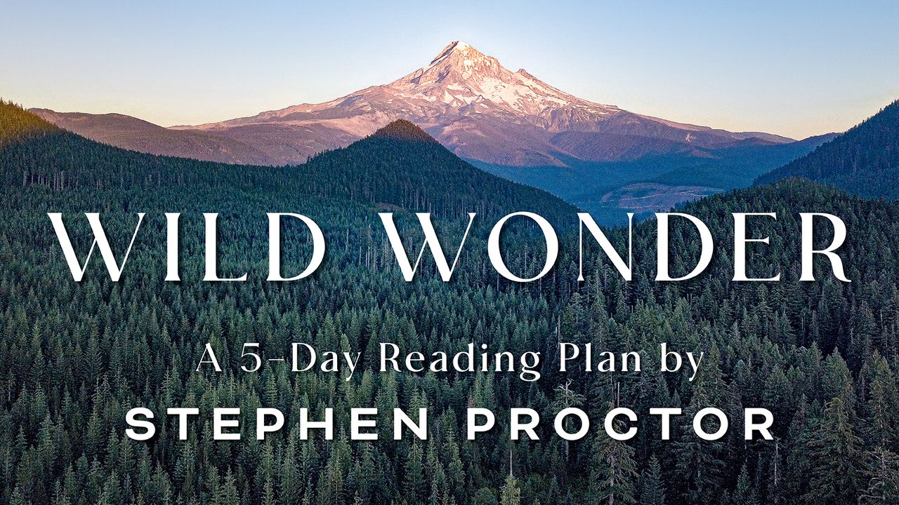 Wild Wonder