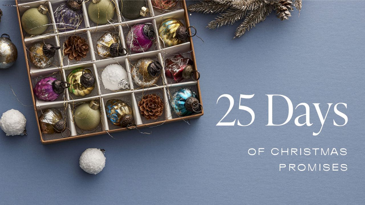 25 Days of Christmas Promises