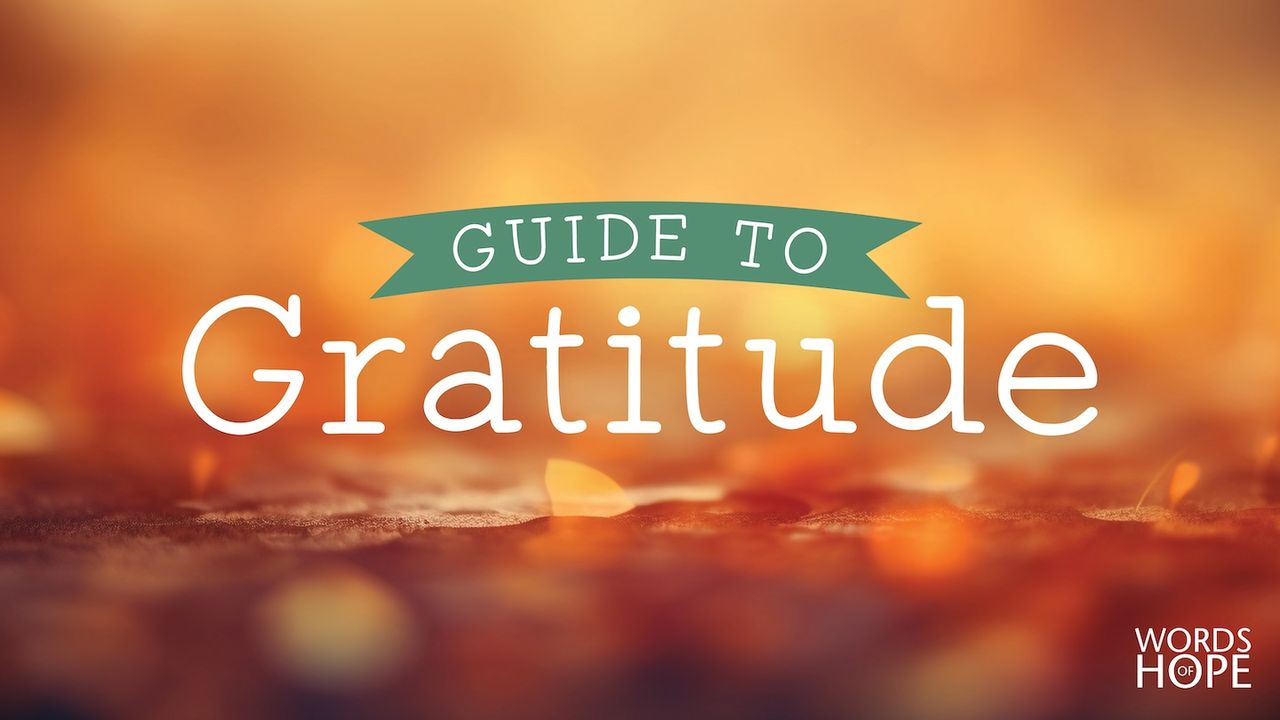 A Guide to Gratitude - Day 1 of 5