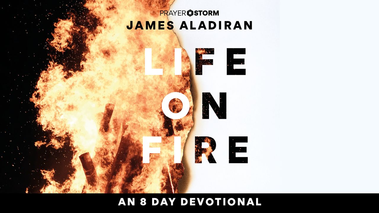 Life on Fire - Day 2 of 7