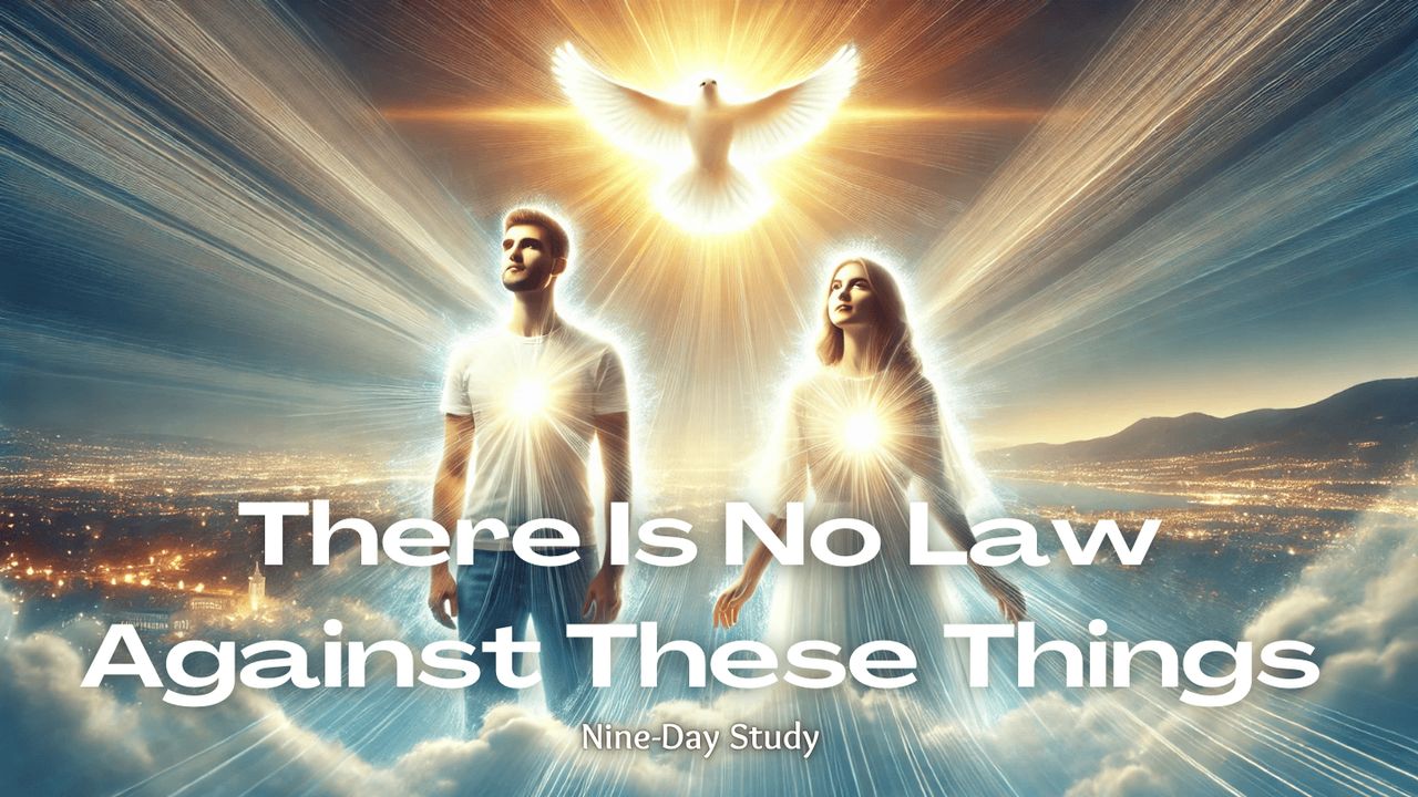 There Is No Law Against These Things - Day 9 of 9