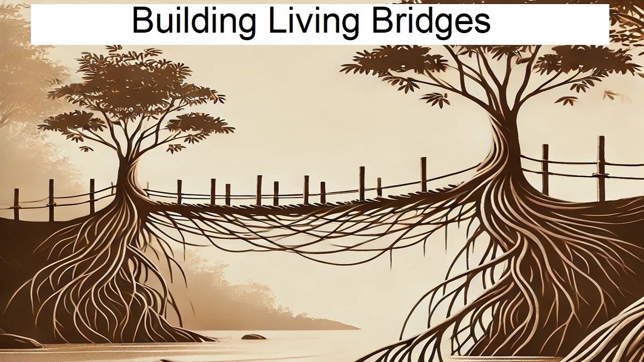 Building Living Bridges - Day 1 of 4