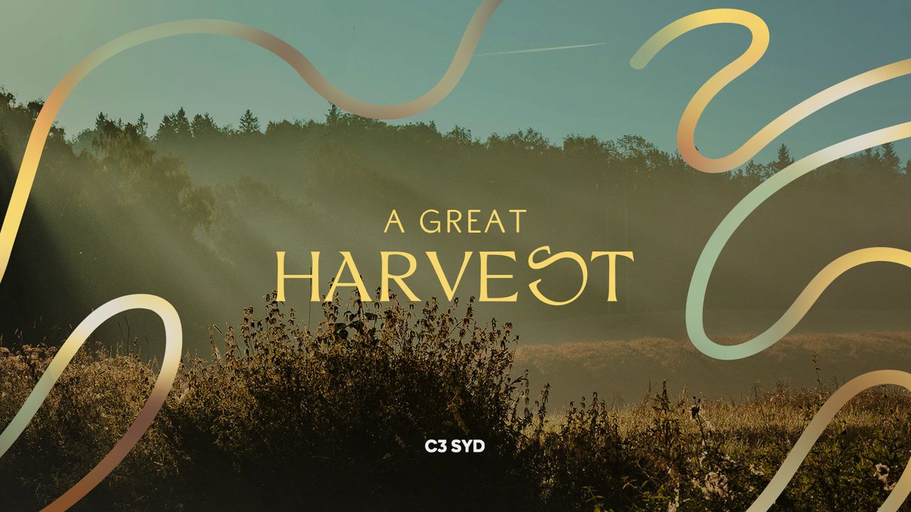A Great Harvest - Day 1 of 8