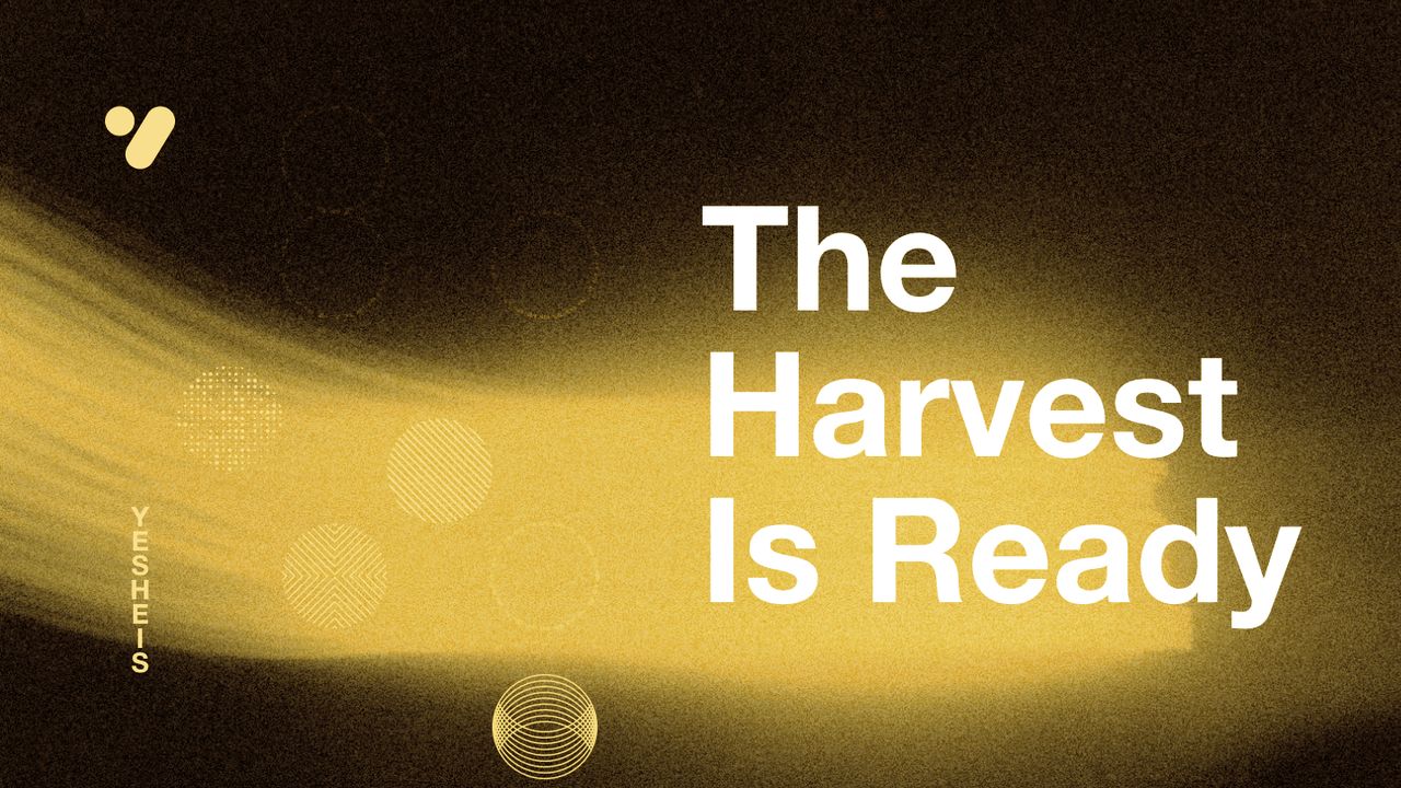 The Harvest Is Ready