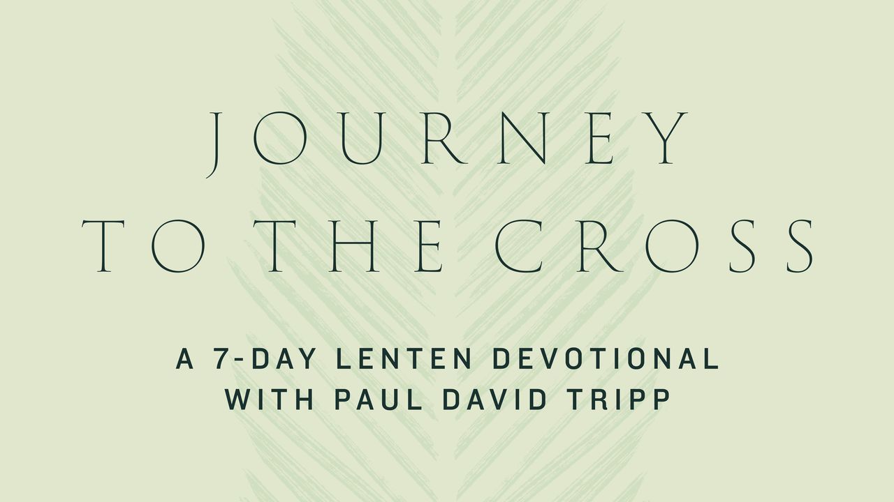 Journey to the Cross: A 7-Day Lenten Devotional With Paul David Tripp ...