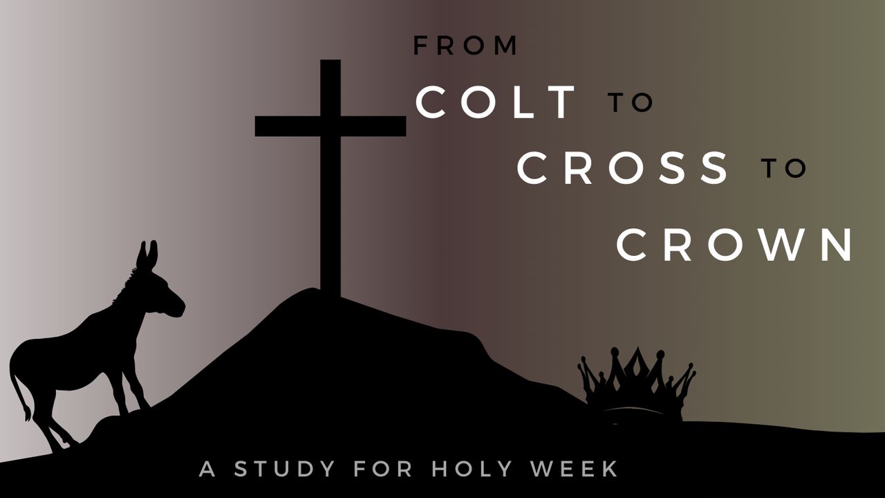 Colt to Cross to Crown: Reflections for Holy Week