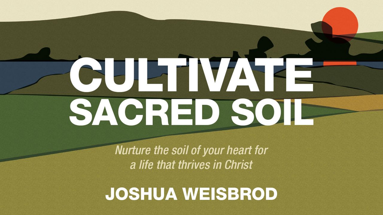 Cultivate Sacred Soil - Day 1 of 7