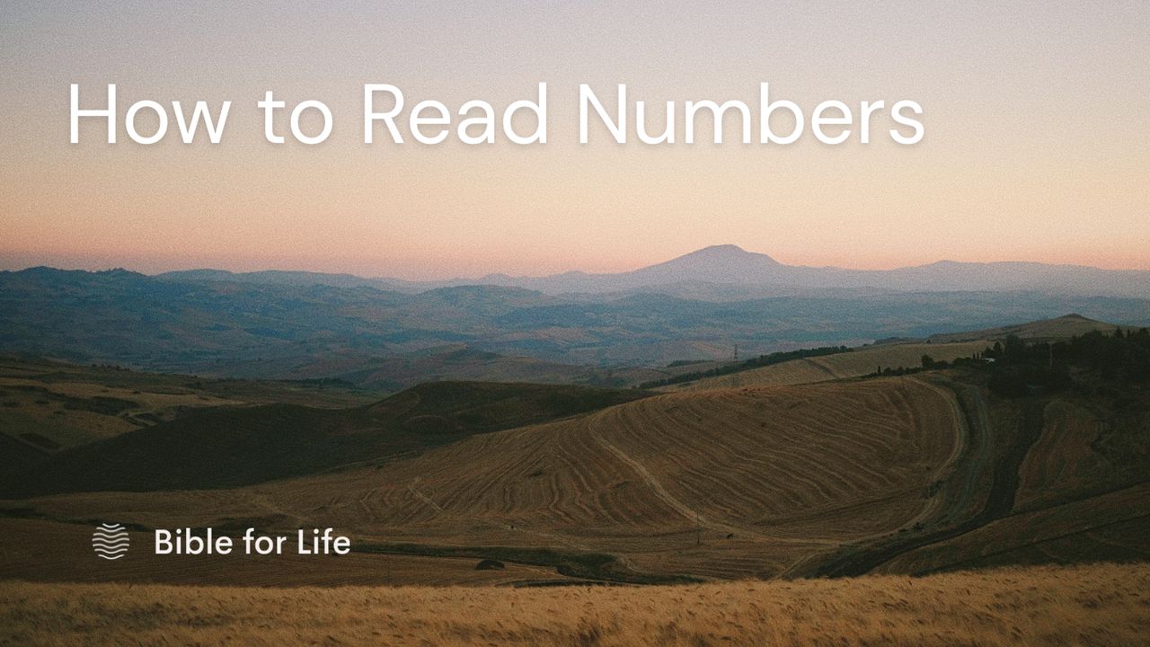 How to Read Numbers