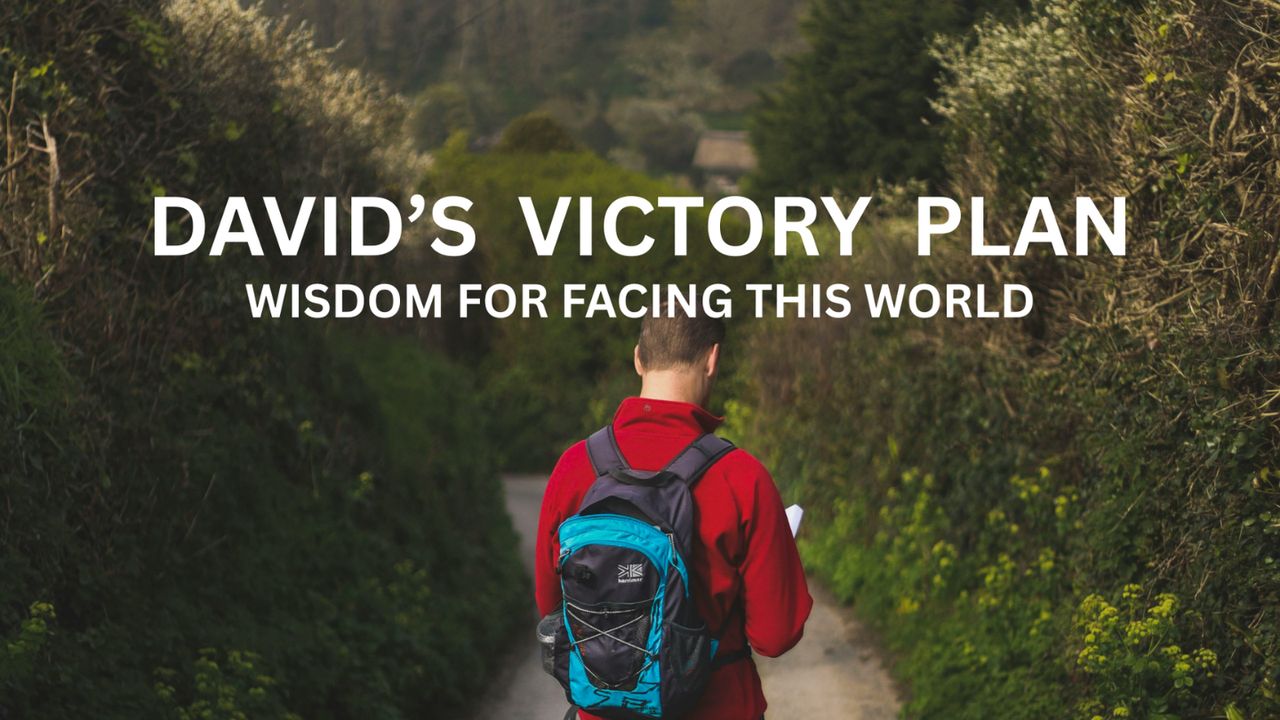 David's Victory Plan