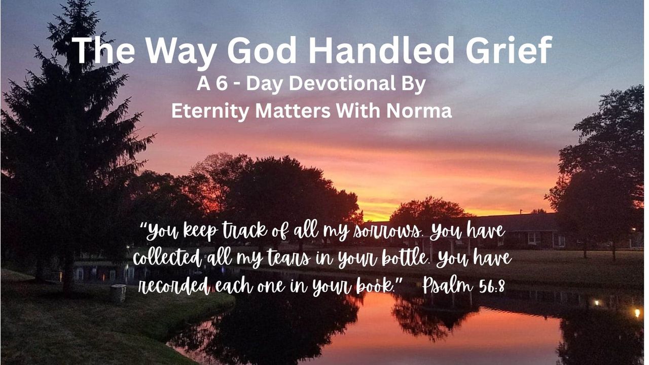 The Way God Handled Grief