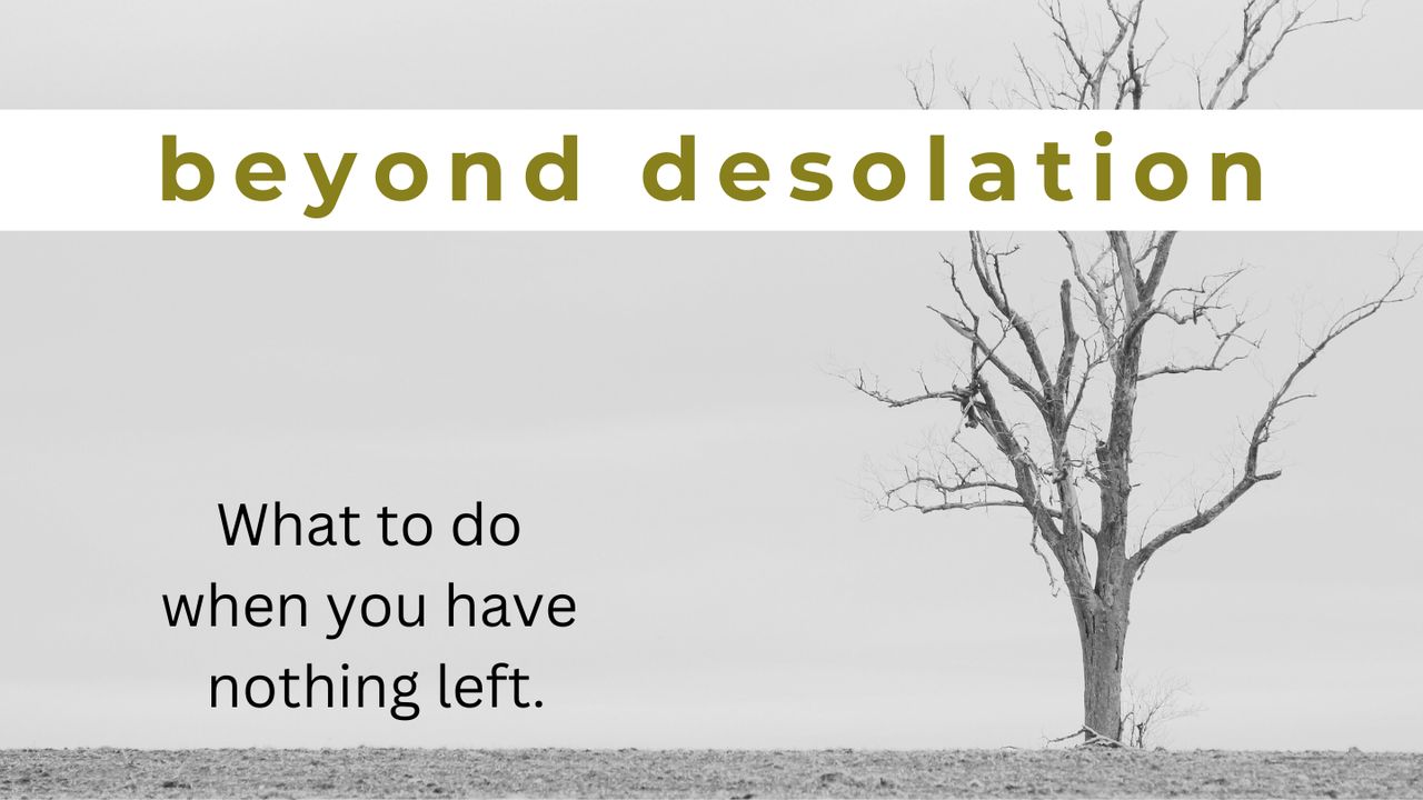 Beyond Desolation: What to Do When You Have Nothing Left - Day 1 of 5