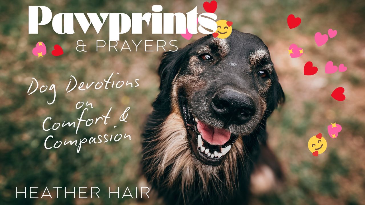 Pawprints & Prayers: Dog Devotions on Comfort and Compassion - Day 1 of 3