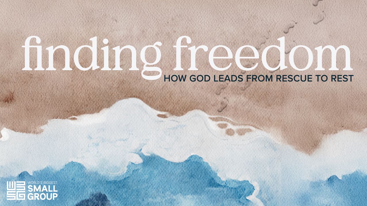 Finding Freedom: How God Leads From Rescue to Rest