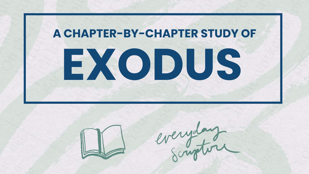 Exodus | Reading Plan + Study Questions - Day 20 of 40