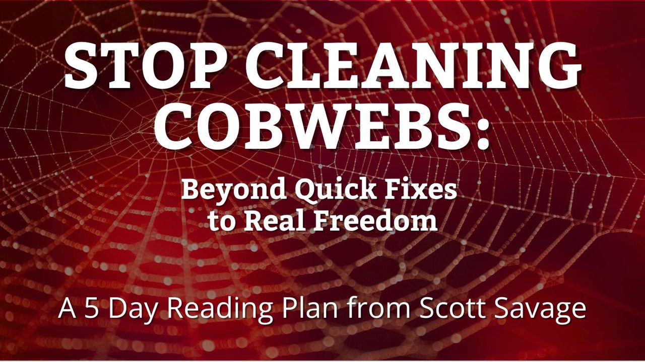 Stop Cleaning Cobwebs: Beyond Quick Fixes to Real Freedom Part 1
