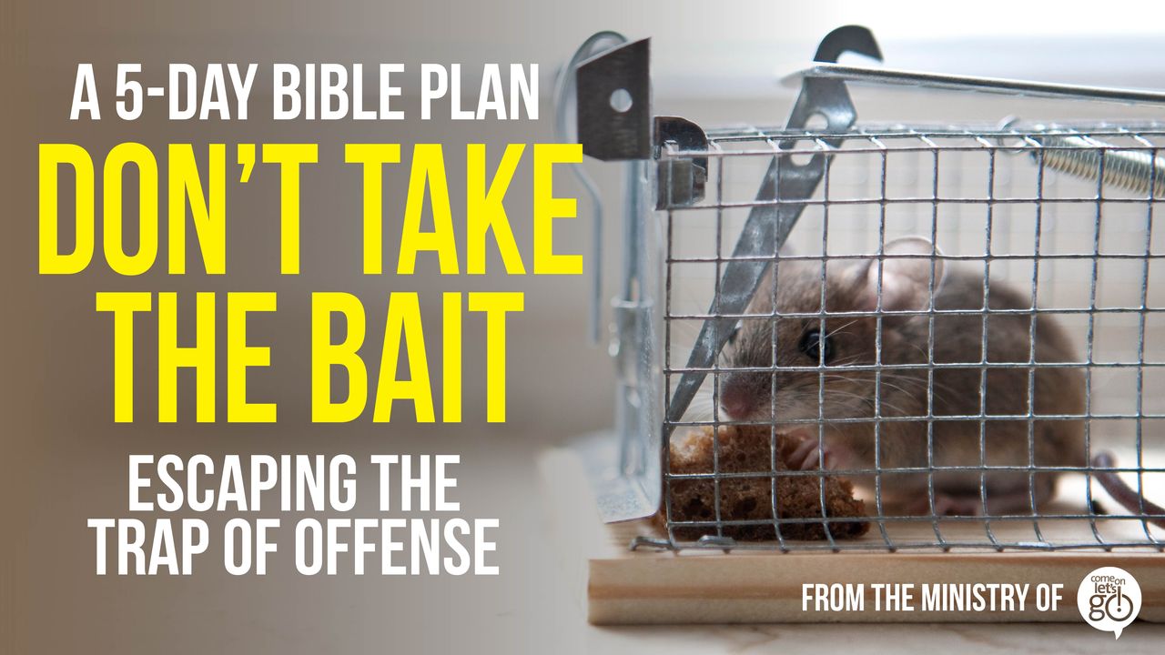 Don't Take the Bait - Day 1 of 5