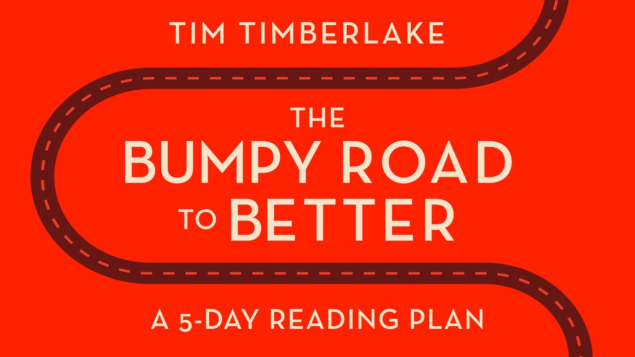 The Bumpy Road to Better by Tim Timberlake