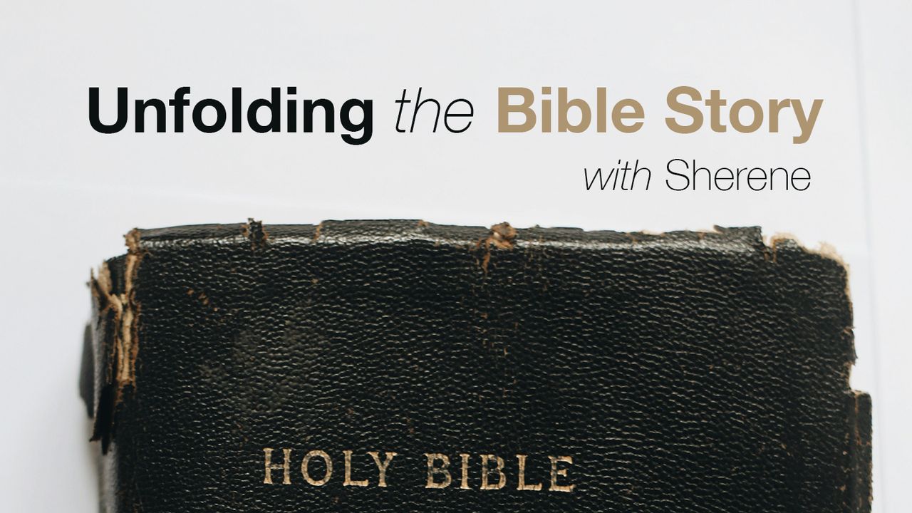 Unfolding the Bible Story With Sherene