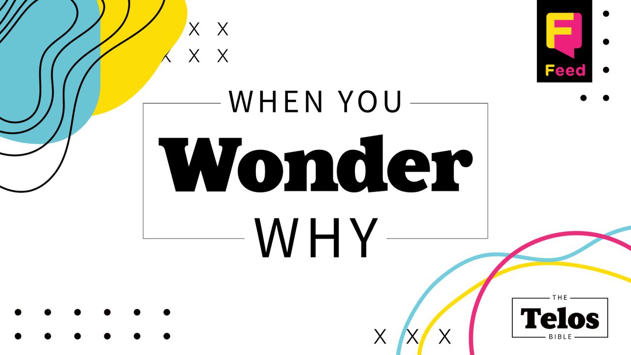 When You Wonder Why