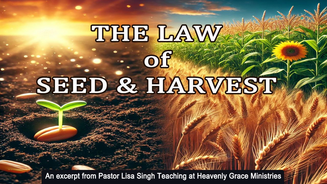 The Law of Seed and Harvest - Day 1 of 5