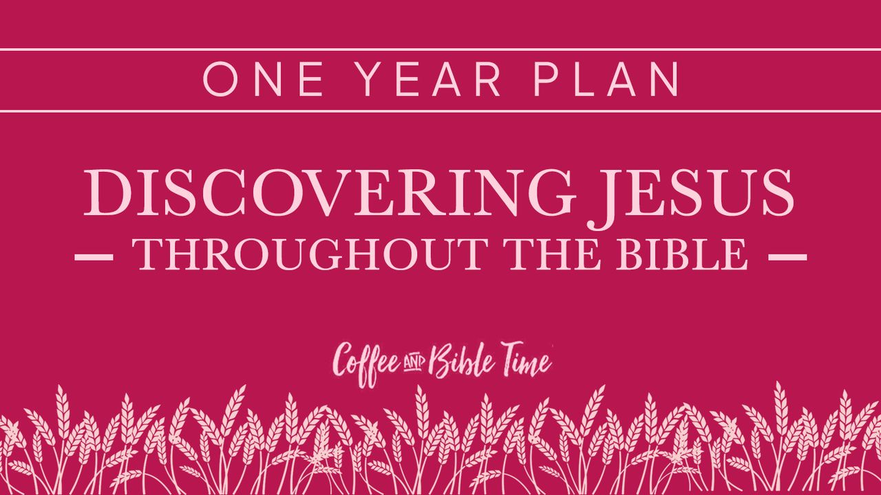 One-Year Bible Reading Plan: Discovering Jesus Throughout the Bible ...