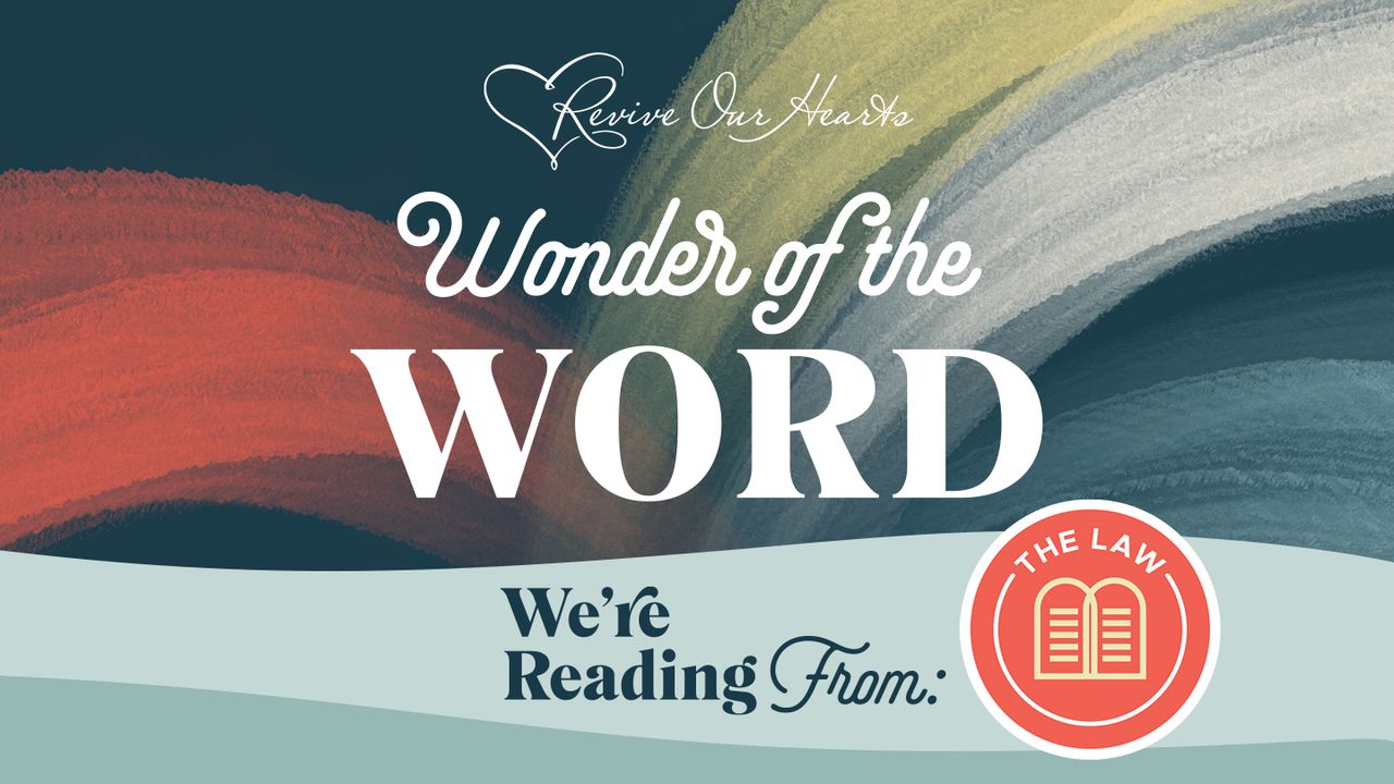 Wonder of the Word: The Law & the Wonder of God's Grace (Vol.1 ...