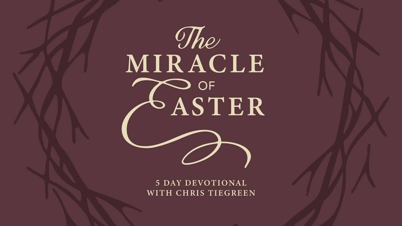 The Miracle of Easter | Easter Devotional