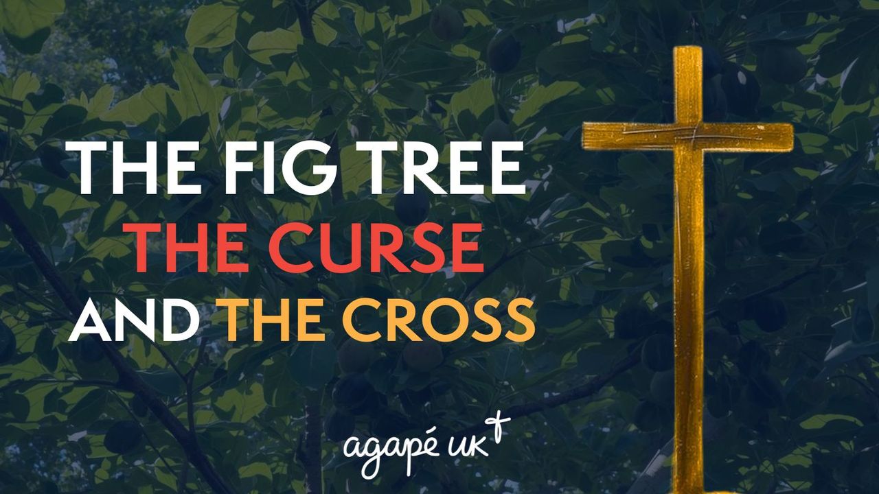 The Fig Tree, the Curse, and the Cross