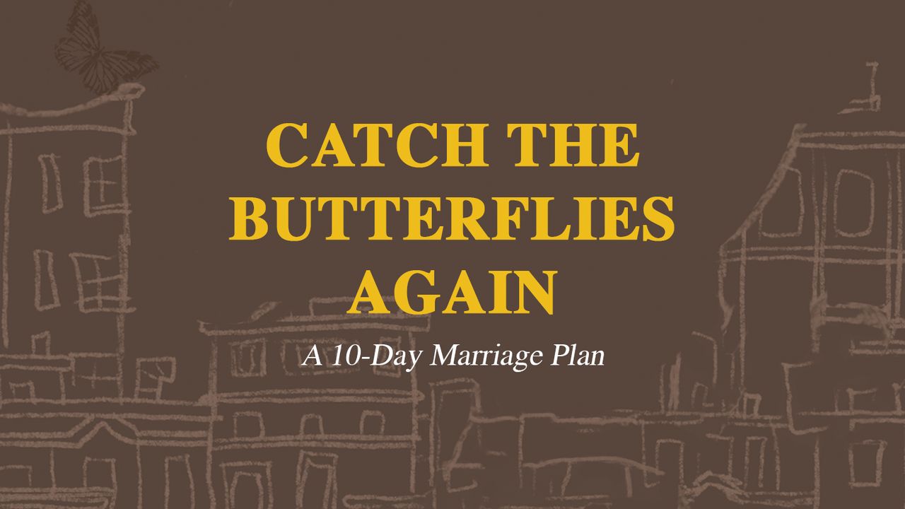 Catch the Butterflies Again